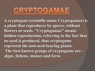 cyptogams vs phanerogams | PPTX