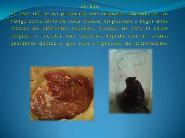 Experimento de la Biogénesis. | PPTX