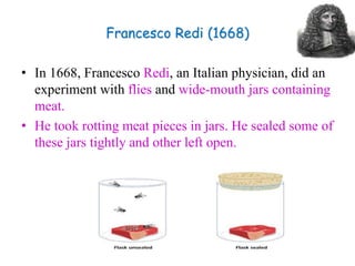 Francesco Redi Experiment