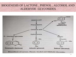 Biogenesis of Glycosides.pptx