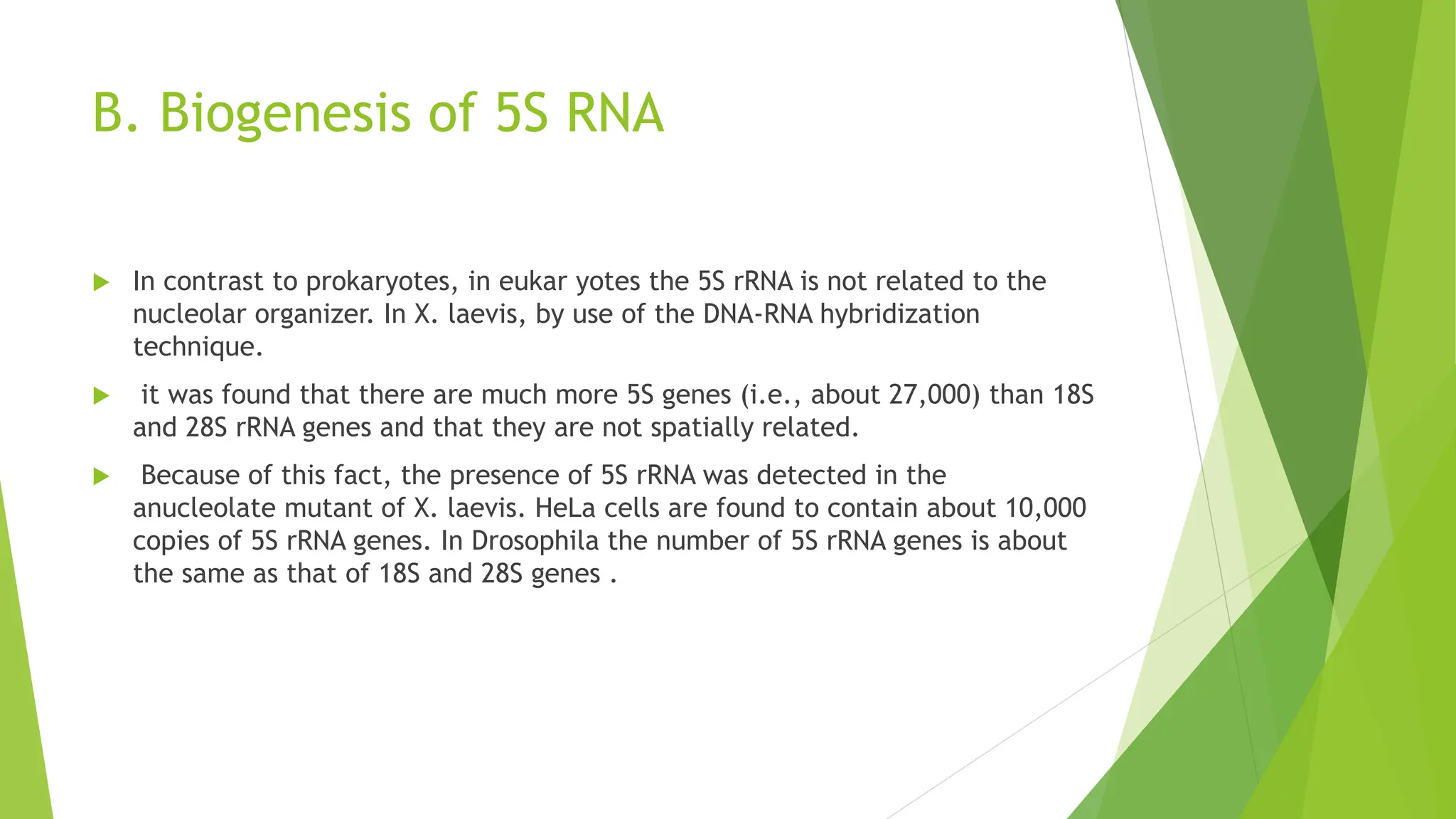 biogenesis.pptx
