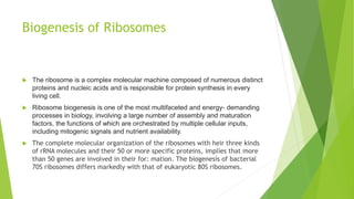 biogenesis.pptx