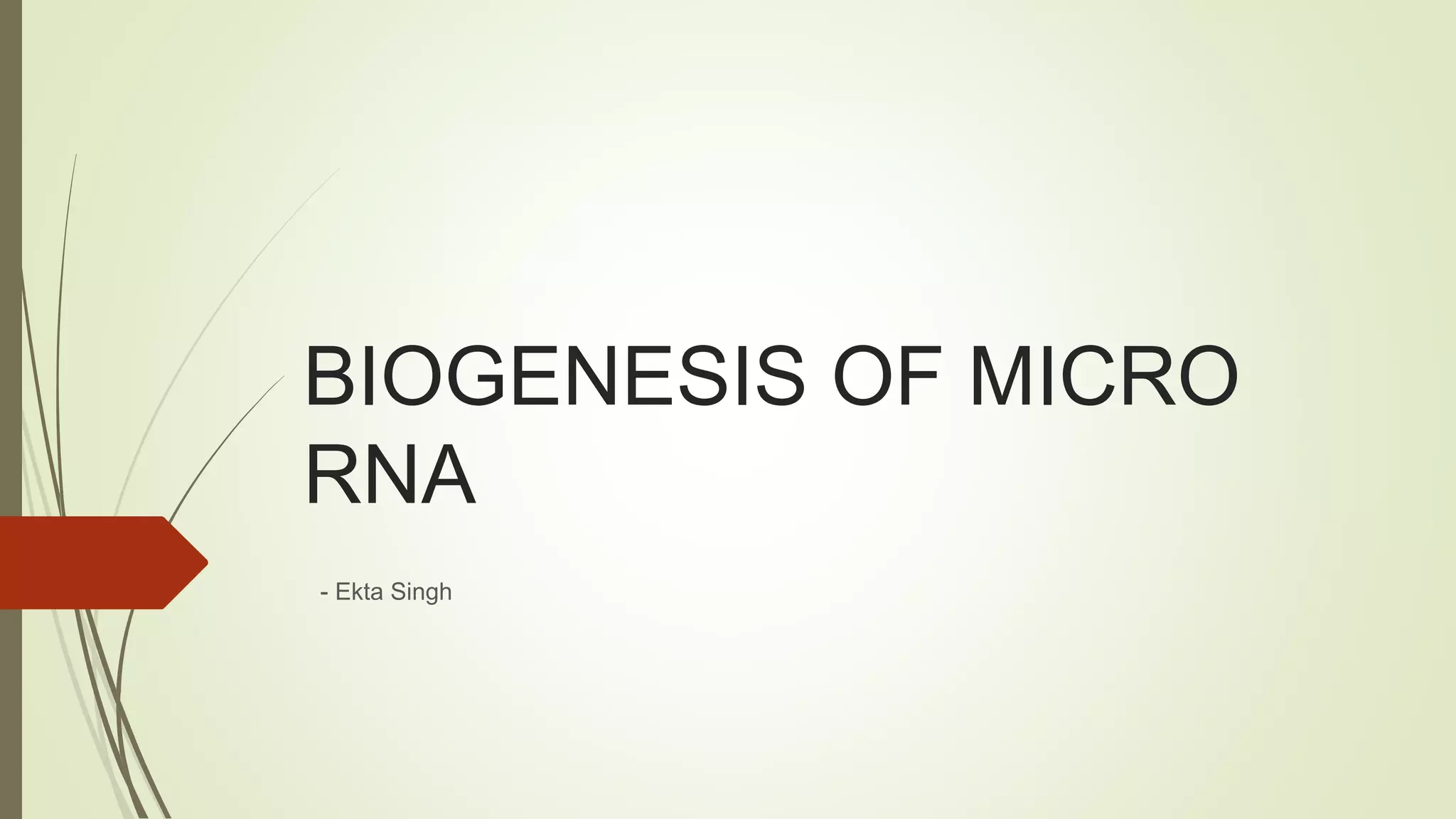 Biogenesis of mi RNA | PPTX