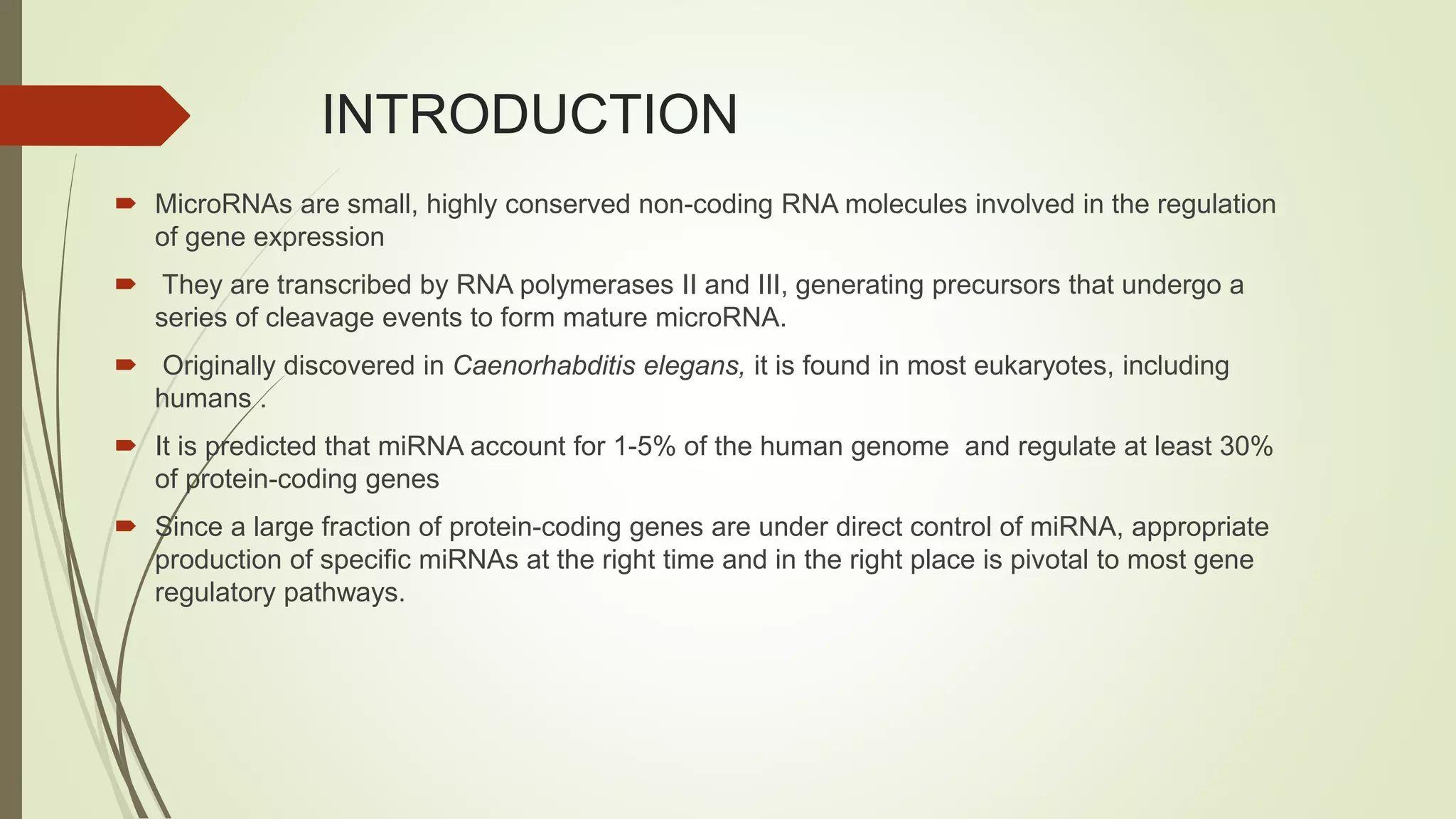 Biogenesis of mi RNA | PPTX