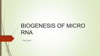 Biogenesis of mi RNA | PPTX