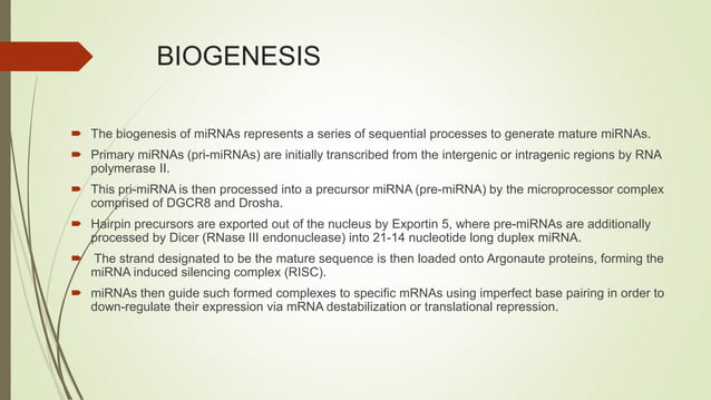 Biogenesis of mi RNA | PPTX | Cancer | Diseases and Conditions