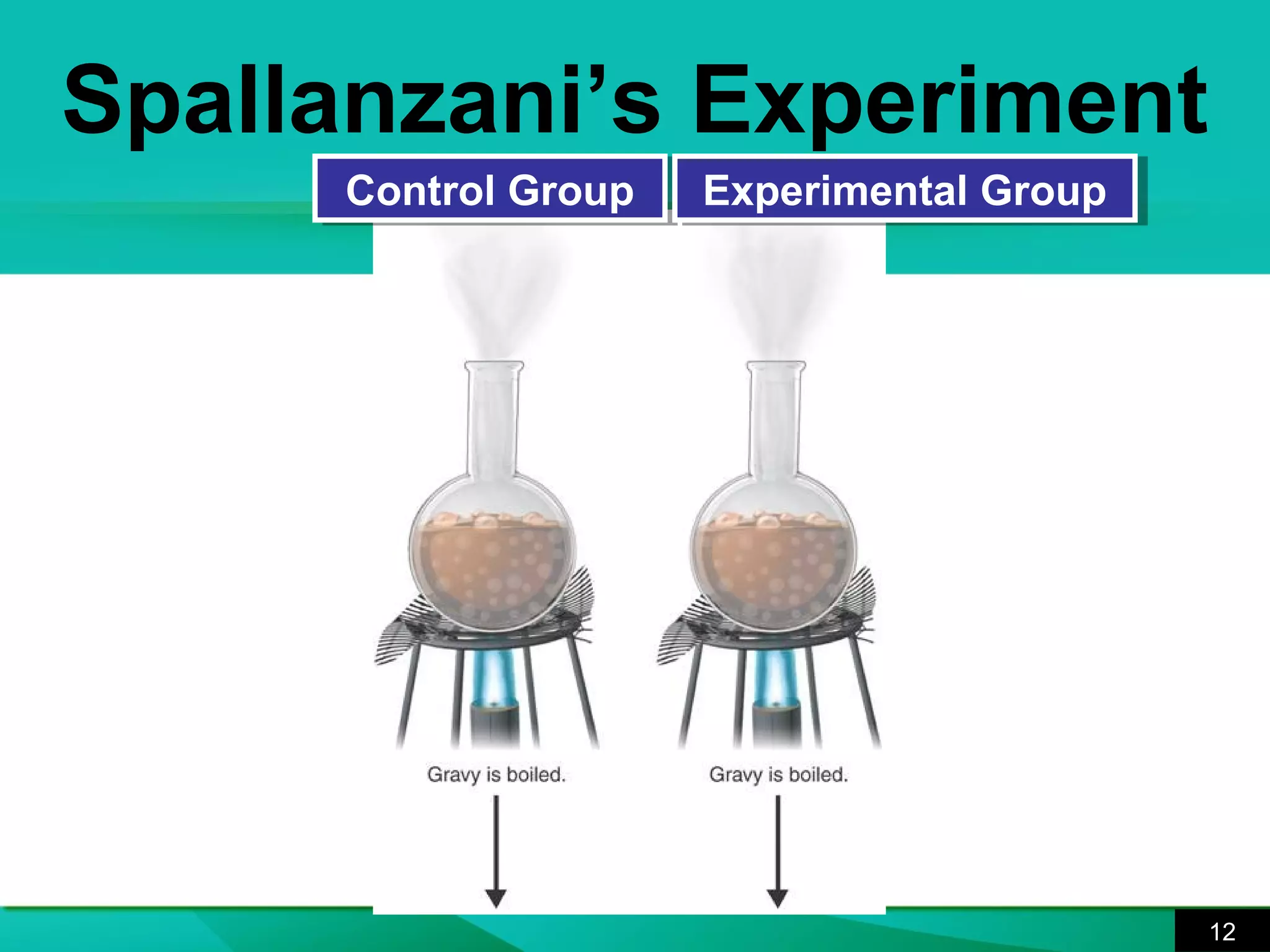 Biogenesis vs. Spontaneous Generation | PPT