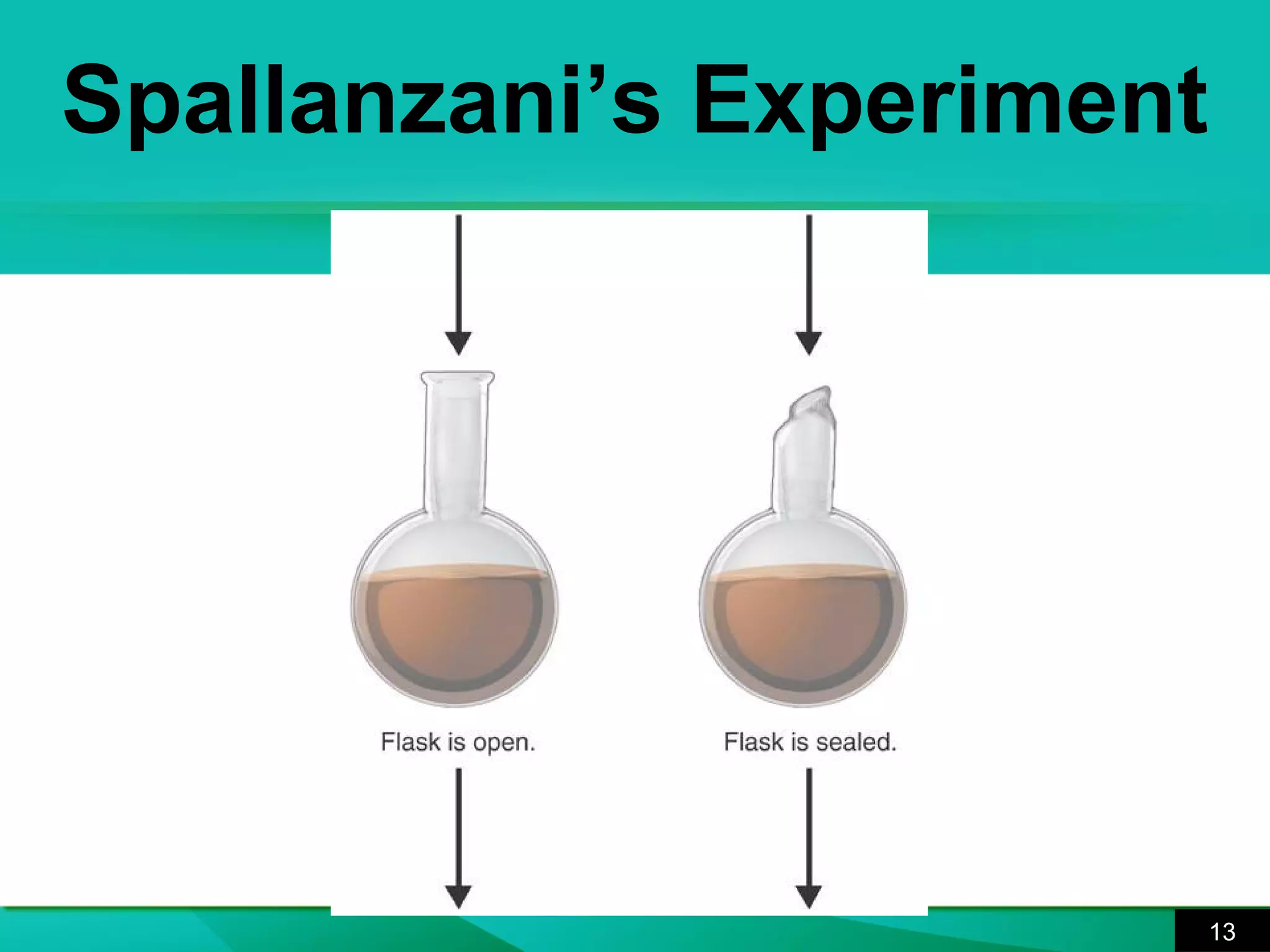 Biogenesis vs. Spontaneous Generation | PPT