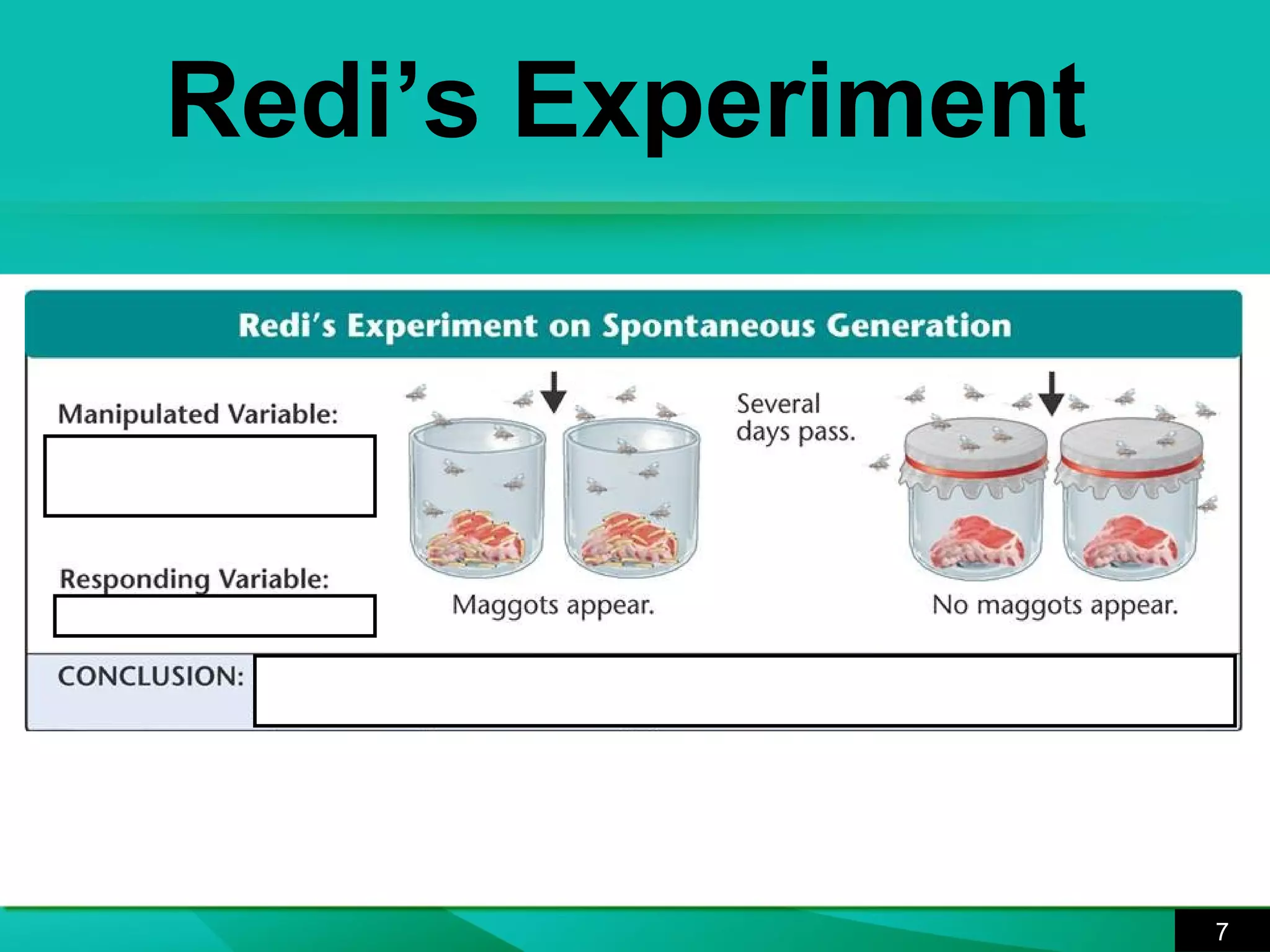 Biogenesis vs. Spontaneous Generation | PPT