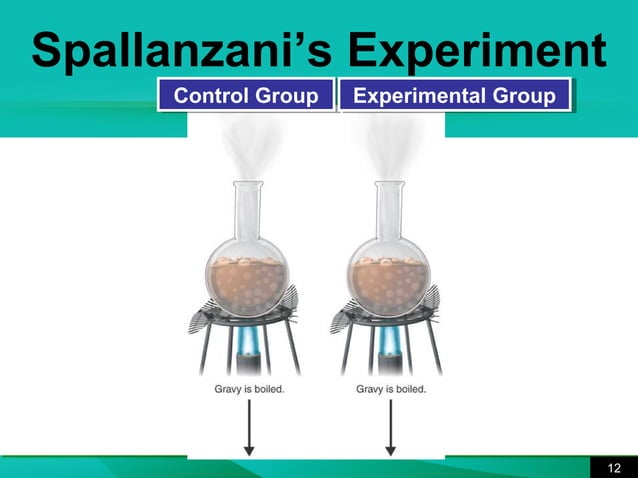 Biogenesis vs. Spontaneous Generation | PPT | Biological Sciences | Science