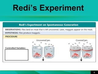 Biogenesis vs. Spontaneous Generation | PPT