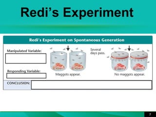 Biogenesis vs. Spontaneous Generation | PPT