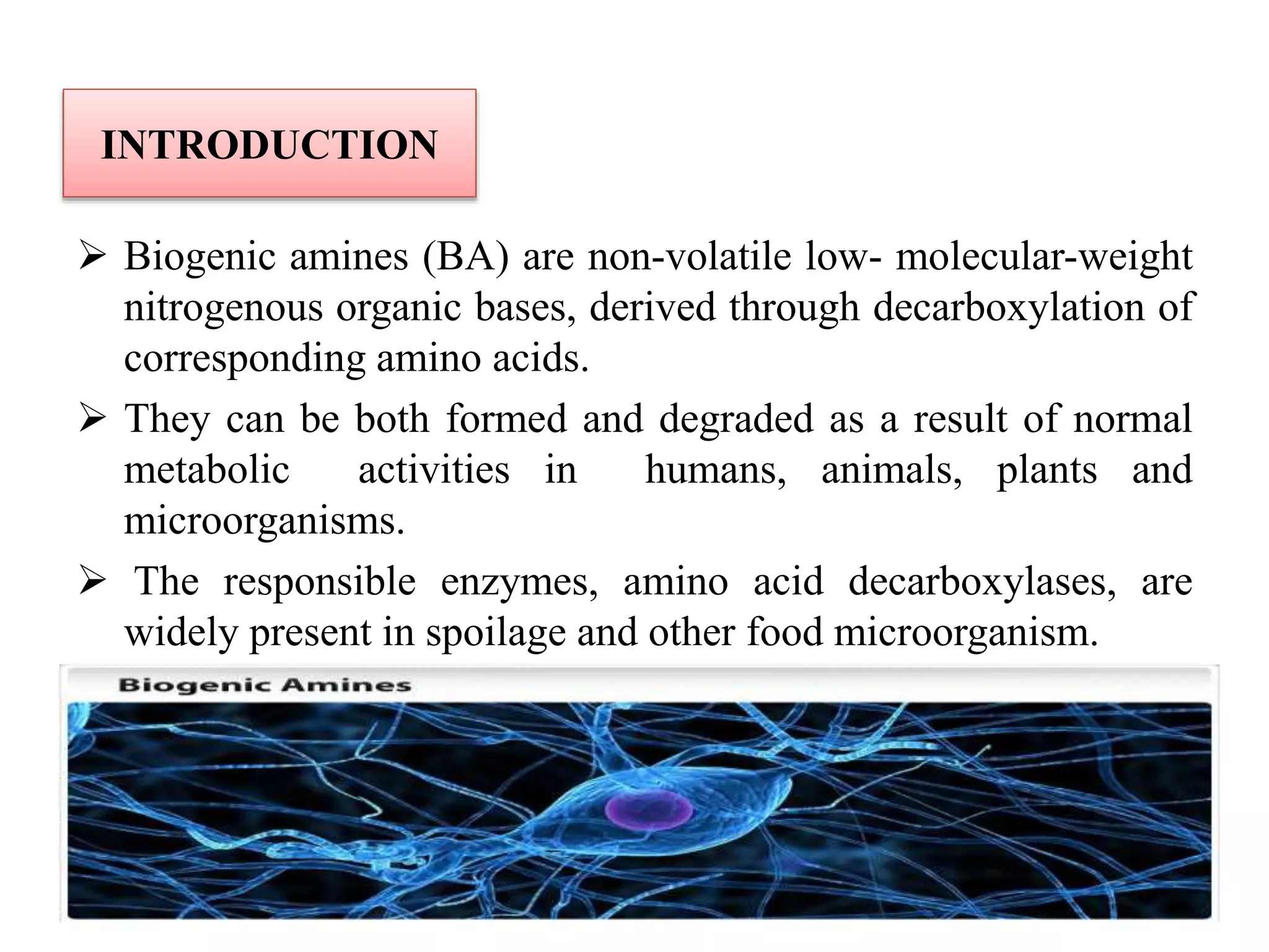 BIOGENIC AMINES IN FERMENTED FOOD | PPTX