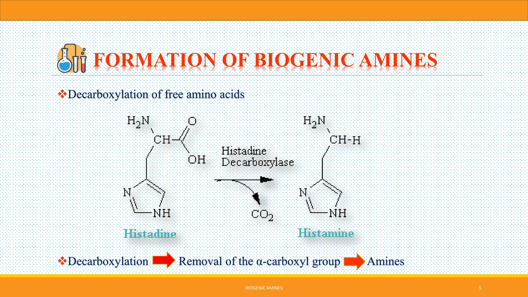 Biogenic amines | PPTX