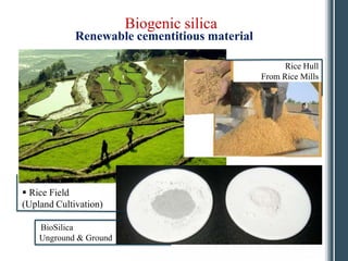 Biogenic silica v1 acs presentation_v1 (2) | PPTX
