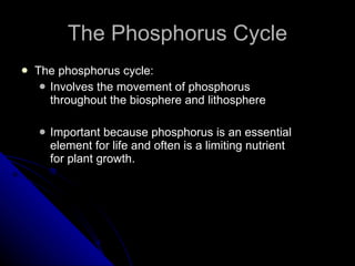 Biogeochemical | PPT