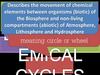 BioGeoChemical Cycles | PPTX