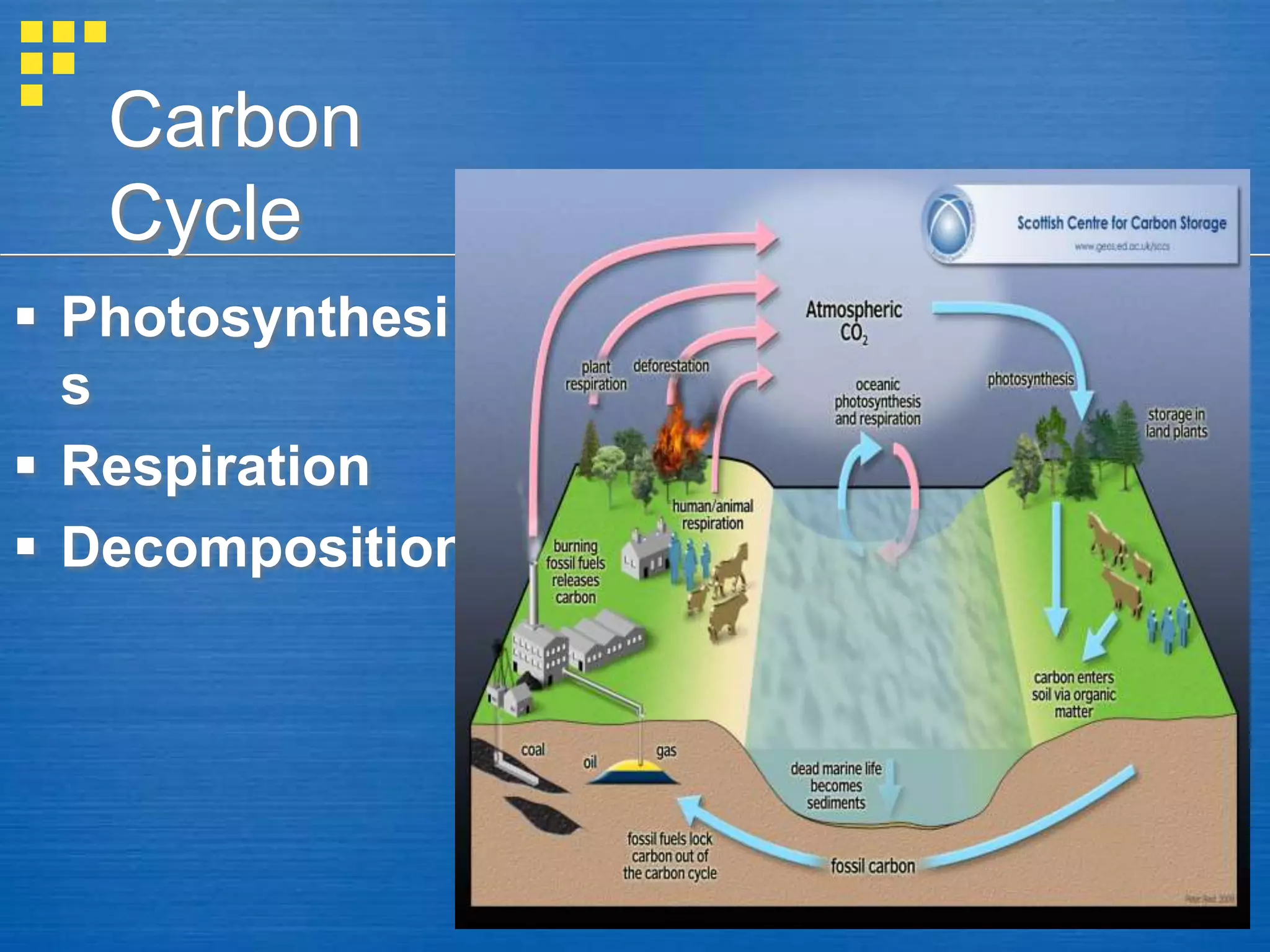 Biogeochemical cycles | PPT