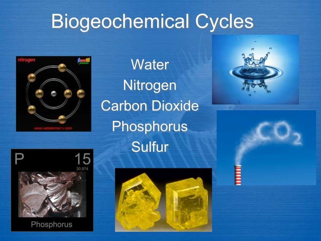 Biogeochemical cycles | PPT