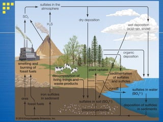 Powerpoint presentation in teaching biogeochemical cycle | PPT
