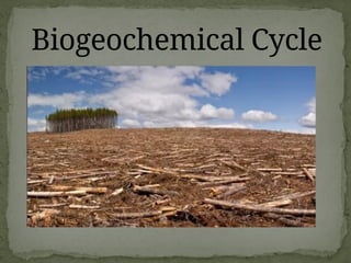 BIOGEOCHEMICAL-CYCLE - ENVIRNMENTAL SCIENCE | PPT