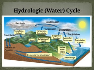 BIOGEOCHEMICAL-CYCLE - ENVIRNMENTAL SCIENCE | PPT