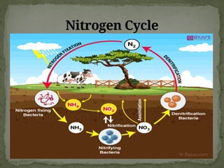 BIOGEOCHEMICAL-CYCLE - ENVIRNMENTAL SCIENCE | PPT
