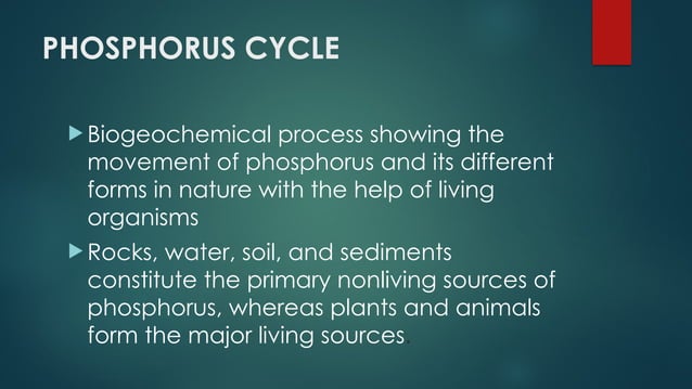 Biogeochemical-Cycle ED 4 Free download.pptx