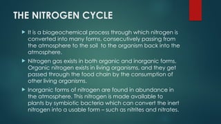 Biogeochemical-Cycle ED 4 Free download.pptx