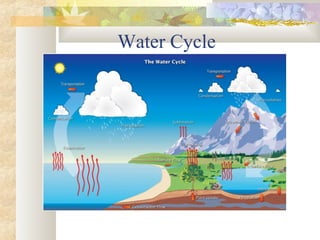 Biogeochemical Cycles | PPT