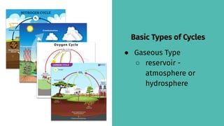 Biogeochemical-Cycling-in-the-Ecosystem.pdf
