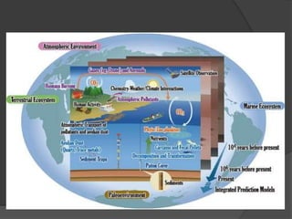 Biogeochemical cycle; Introduction and description | PPT