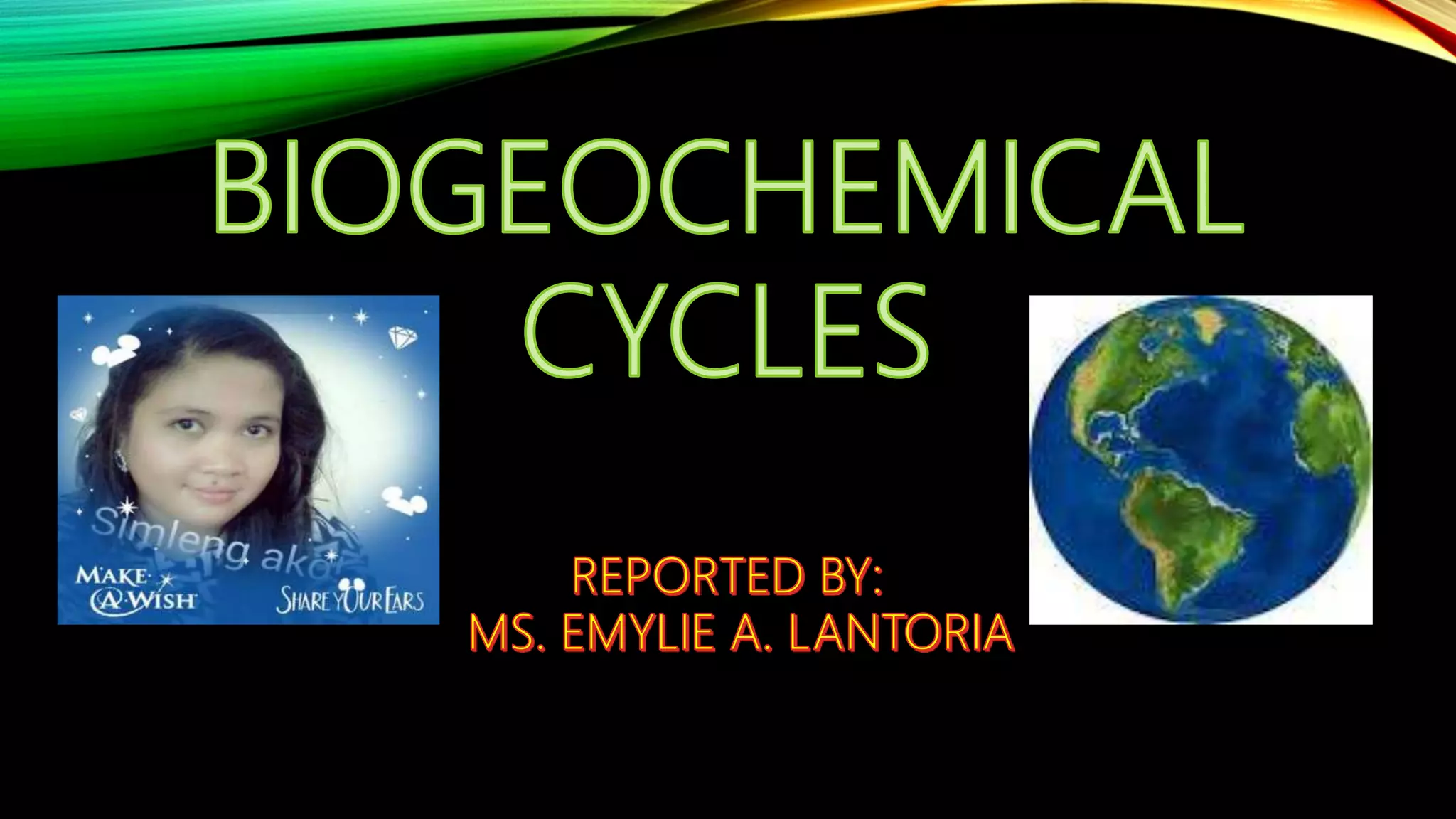 Biogeochemical cycle | PPT