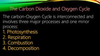 Biogeochemical cycle | PPTX