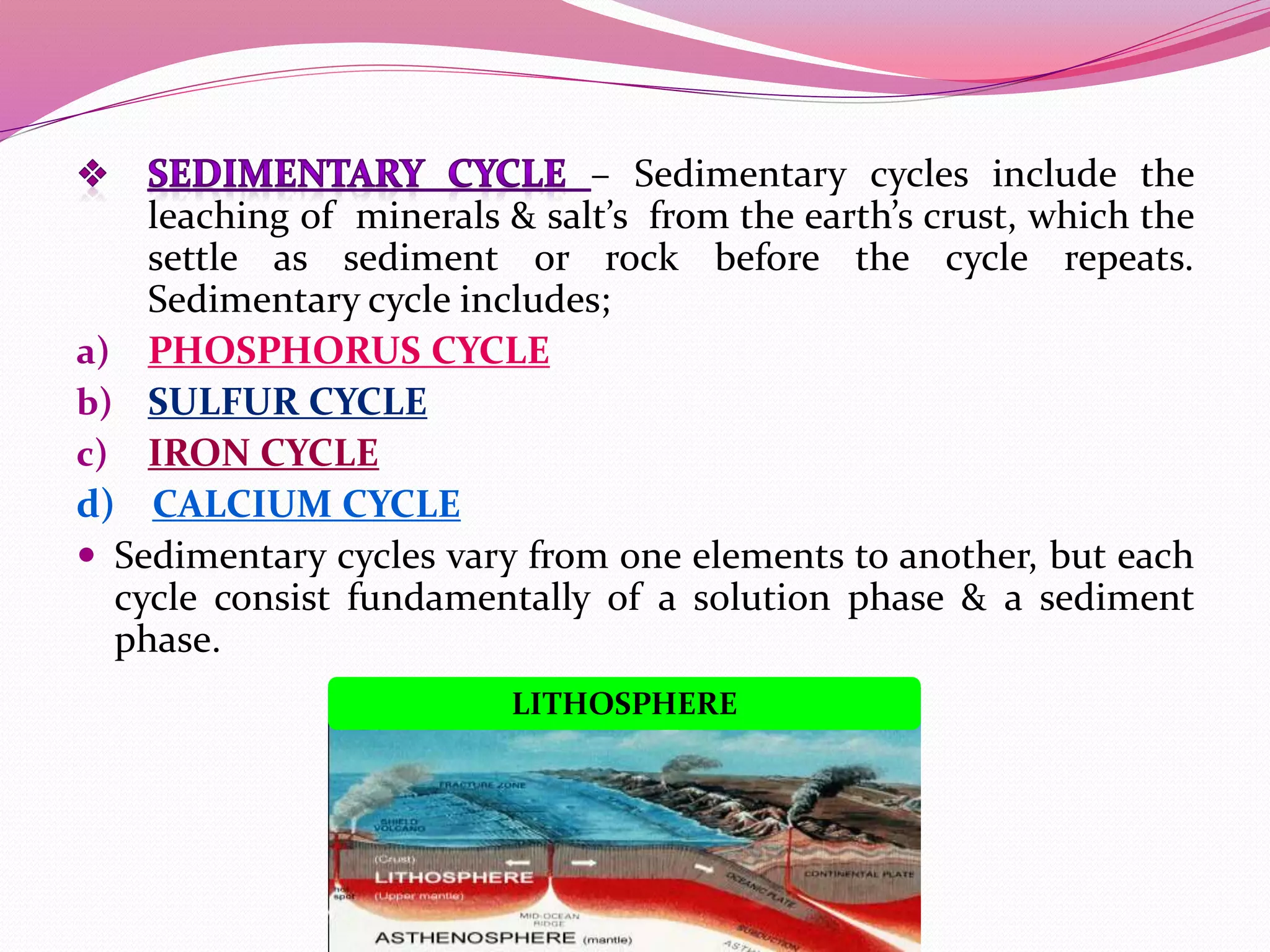 Biogeochemical cycle | PPTX