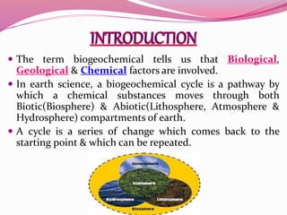 Biogeochemical cycle | PPTX