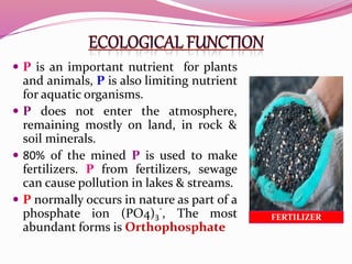 Biogeochemical cycle | PPTX