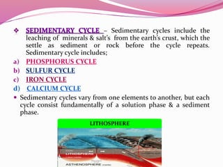 Biogeochemical cycle | PPTX