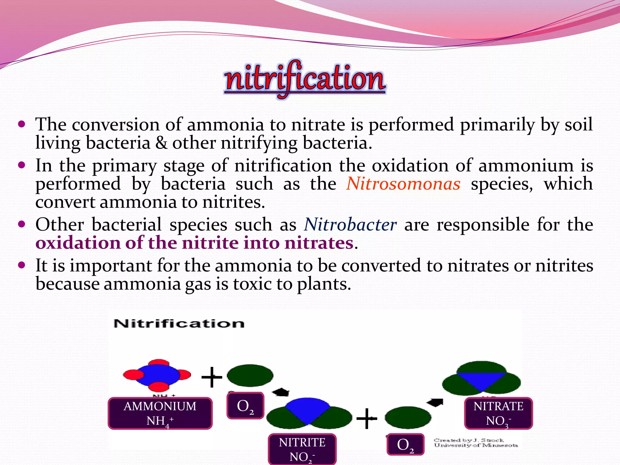 Biogeochemical cycle | PPTX