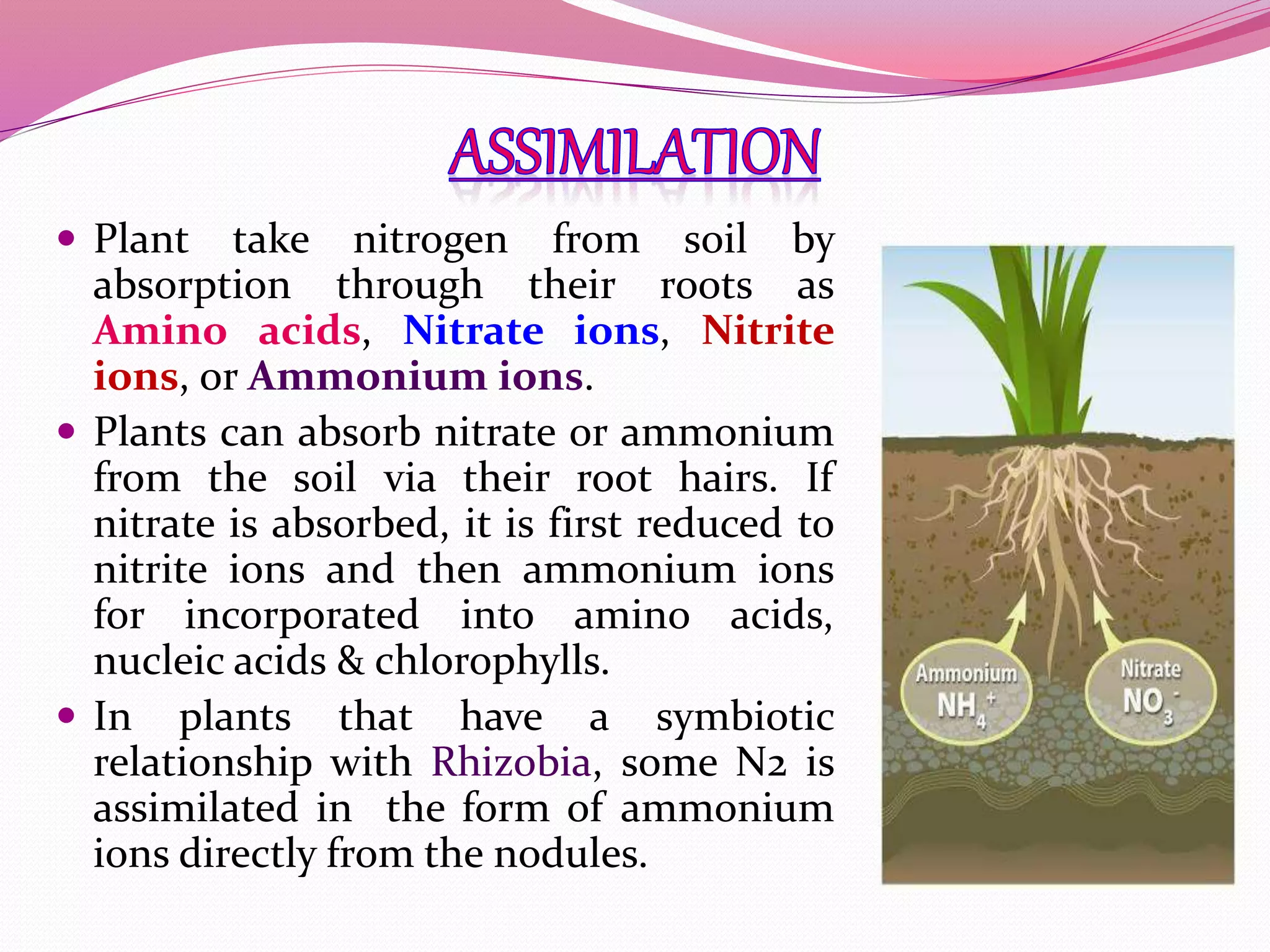 Biogeochemical cycle | PPTX