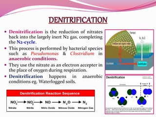 Biogeochemical cycle | PPTX