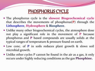 Biogeochemical cycle | PPTX