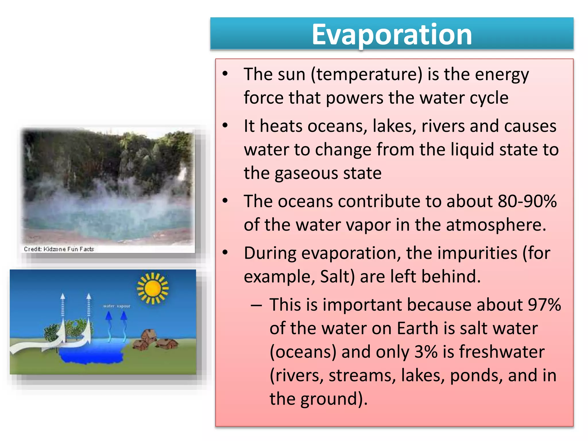 Biogeochemical cycle | PPTX