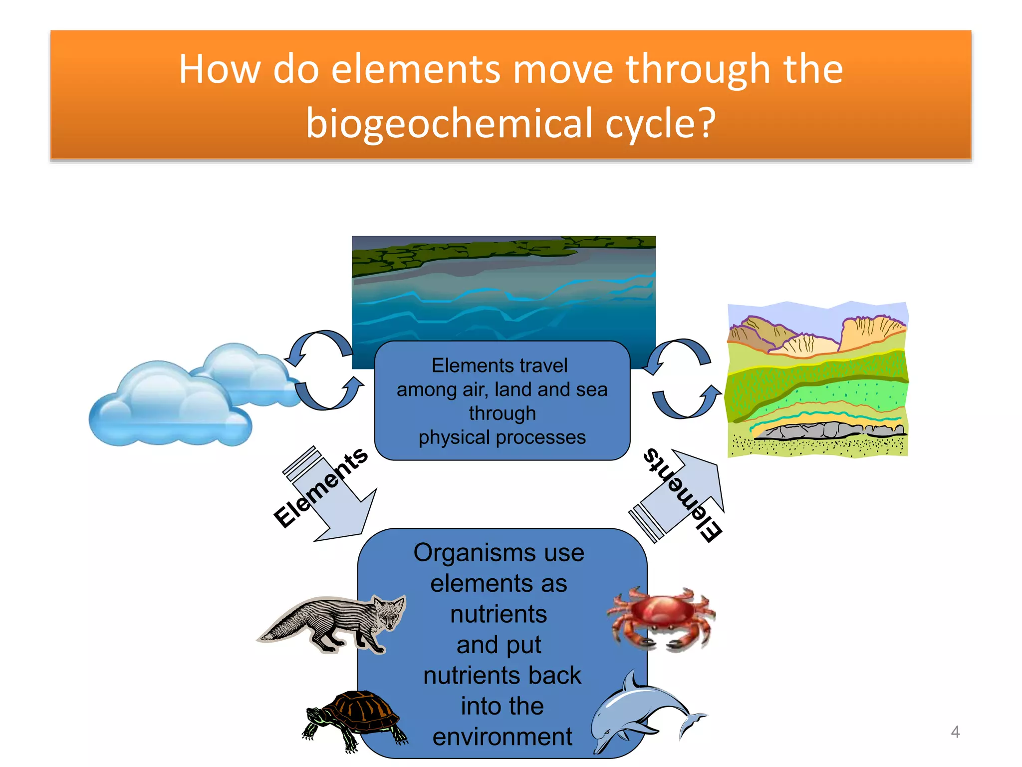 Biogeochemical cycle | PPTX