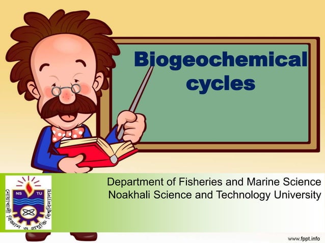 Biogeochemical cycle | PPT