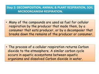 Biogeochemical cycle | PPTX