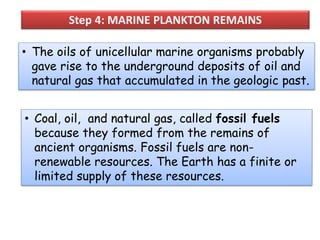 Biogeochemical cycle | PPTX
