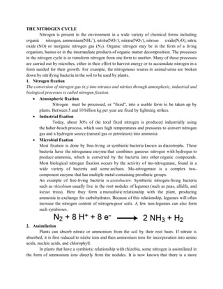 biogeochemical_cycle.pdf