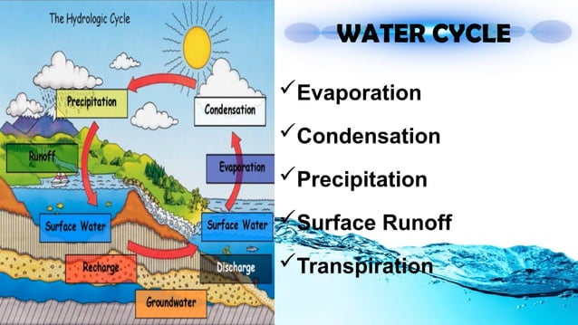ENVIRONMENTAL SCIENCE - BIOGEOCHEMICAL CYCLE.pptx