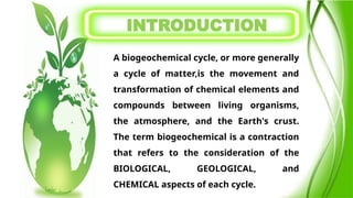 ENVIRONMENTAL SCIENCE - BIOGEOCHEMICAL CYCLE.pptx
